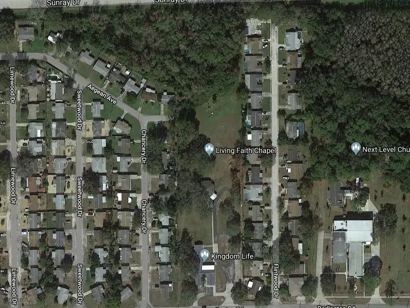 Web Of Wisdom (2024 Profile) - Holiday, FL