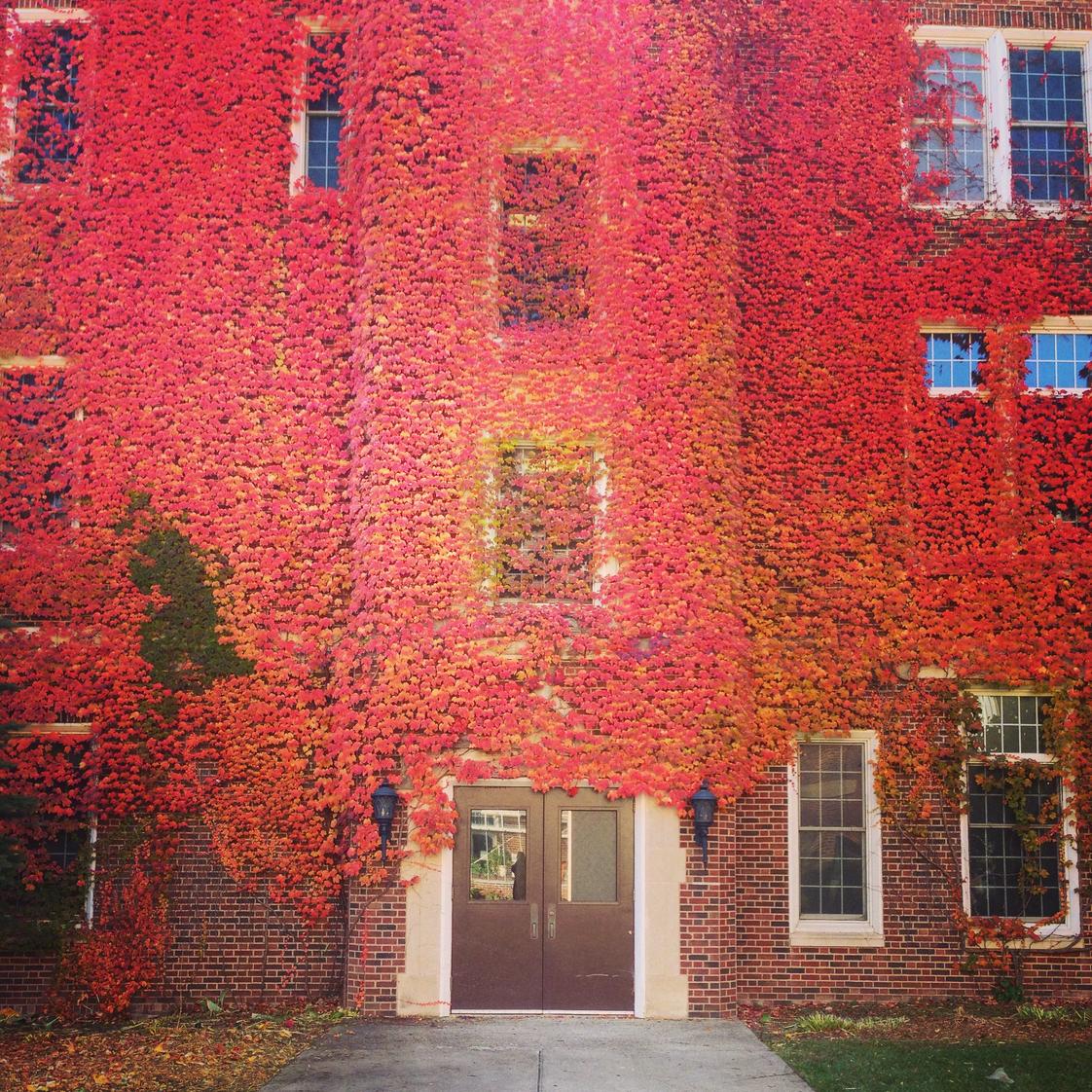 Academy Of Holy Angels (2023 Profile) - Minneapolis, MN