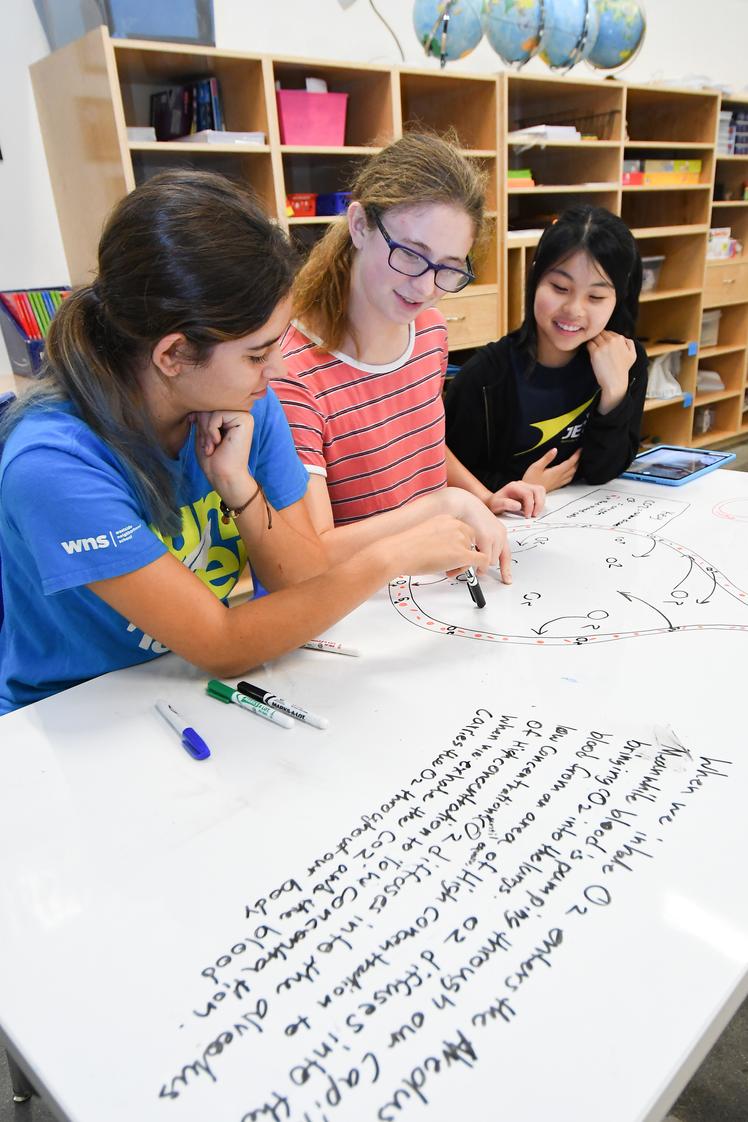 Westside Neighborhood School (2023 Profile) - Los Angeles, CA